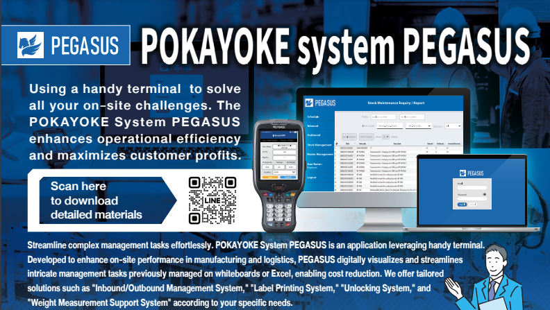 PEGASUS Inbound and Outbound Inspection System Overview Document